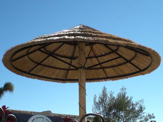 Palapa Structures | Palapas | Single Pole Reed Palapa